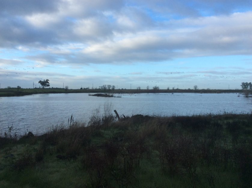 aitken Jan 2018 (2) | Wildlands