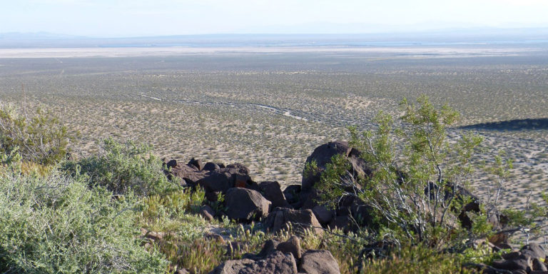 Black Mountain Conservation Bank Approved in Mojave Desert | Wildlands